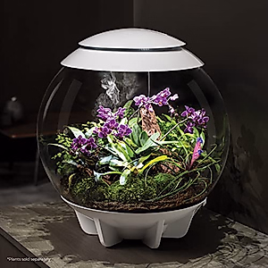 biOrb AIR 60 LED Terrarium - 16 gallon, white (46147)
