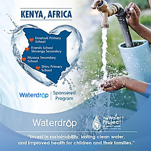 Waterdrop Alkaline Lucid 10-Cup Large Water Filter Pitcher with 1 Filter, Healthy, Clean & Toxin-Free Mineralized Alkaline Water (100 Gallons), Up to PH 9.5, BPA Free, Blue