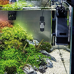 hygger Small Aquarium Betta Heater, Submersible Fish Tahk Heater 10W/25W/50W/100W with LED Digital Display, Suitable for Marine Saltwater and Freshwater up to 5/10/16/26 Gallon