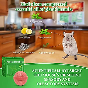 12 Pcs Natural Mouse Repellent Peppermint Oil to Repel Mice and Rats, Rodent Repeller for Car Engines Home Kitchen Indoor Outdoor,Keep Moles & Voles Out of Your Lawn and Garden, Pet Safe