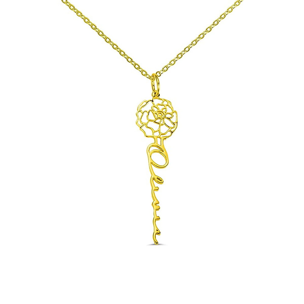 Roseinside Personalized Birth Flower Necklace for women Sterling Silver Custom Dainty Floral Name Pendant Birthday Gift Jewelry