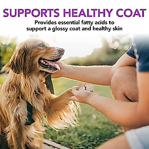 Vet’s Best Brewer’s Yeast & Garlic Chews| Healthy Skin & Coat Protection for Dogs | Formulated with Veterinary Recommended Dosage | 60 Count