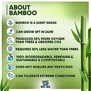 BOONBOO Bamboo Toothbrushes, Wooden Handle, Stand-Up, Pack of 4, Adult