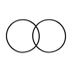 iSpring ORBX2 Replacement O-Ring for Whole House Water Filtration Systems Pack of 2, Black, 2 Piece
