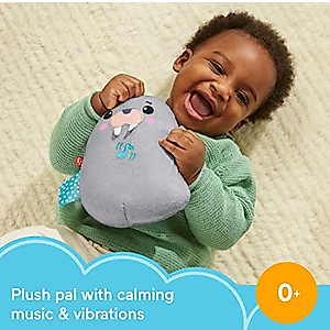 Fisher Price Infant Sound Machine Chill Vibes Walrus Soother Plush Baby Toy with Music Vibrations & Customizable Settings