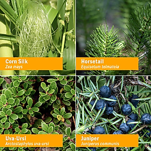 Herb Pharm Urinary System Support Liquid Herbal Formula, 1 Fl Oz