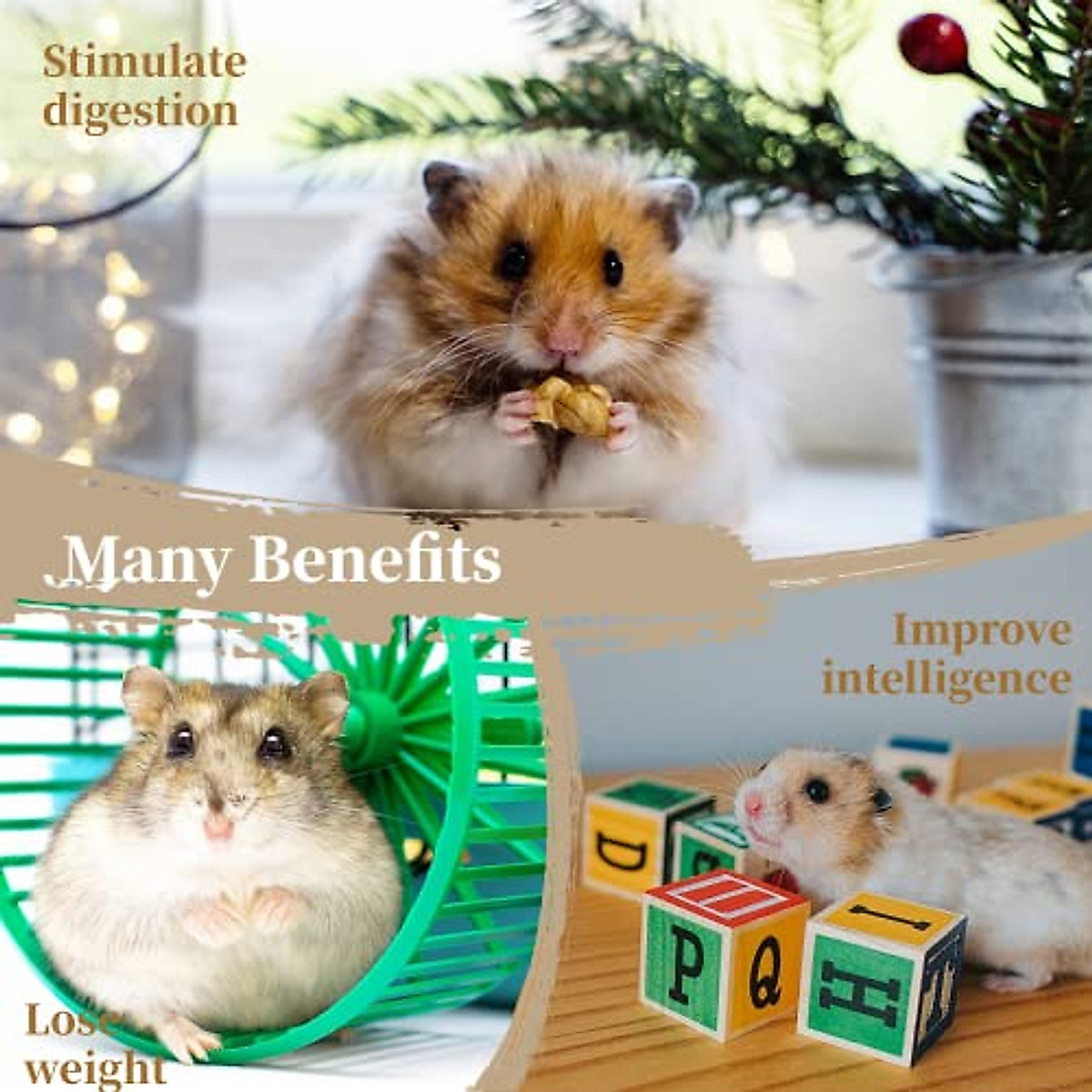 FELISTORY Wooden Foraging Toy for Small Pet - 6 in 1 Interactive Hide Treats Puzzle Snuffle Game, Mental Stimulation Toy for Guinea Pig,Rabbit,Hamster,Hedgehog, Chinchilla, Mouse,Rats,Sugar Gilders