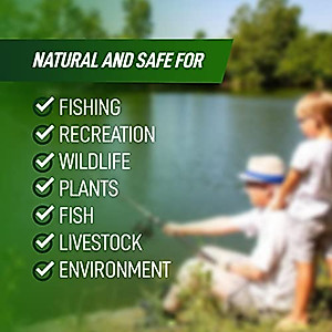 4X Pond Cleaner - Reduces Muck & Sludge for a Clean, Natural Look - Super Concentrated Lake and Water Feature Enzymes Treats Up to 1 Acre, Pair with Dye - Safe for Fish and Wildlife (32 oz)