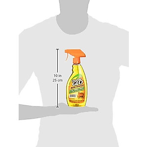 Orange Glo Wood Furniture 2-in-1 Cleaner & Polish, 16 ounces