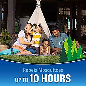 Cutter Backwoods Dry Insect Repellent, Mosquito Repellent, 25% DEET, Sweat Resistent, 4 Ounce (Aerosol Spray)