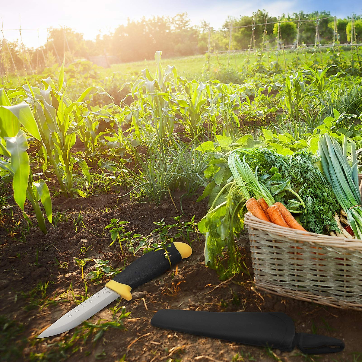 Linsen-outdoor Fixed Blade Knife With Sheath Camping Knife Outdoor 4 Inch Single Edge Blade Stainless Steel Sharpe Survival Knives For Garden Grafting