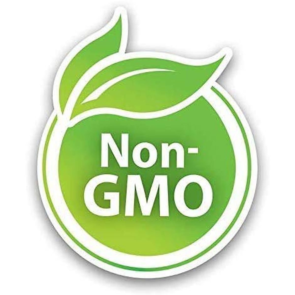 Set of 16 Assorted Organic Vegetable Seeds & Herb Seeds for Planting 16 Varieties Create a Deluxe Garden Heirloom, 100% Non-GMO Sweet Pepper Seeds, Hot Pepper Seeds-Red Onion Seeds- Green Onion Seeds