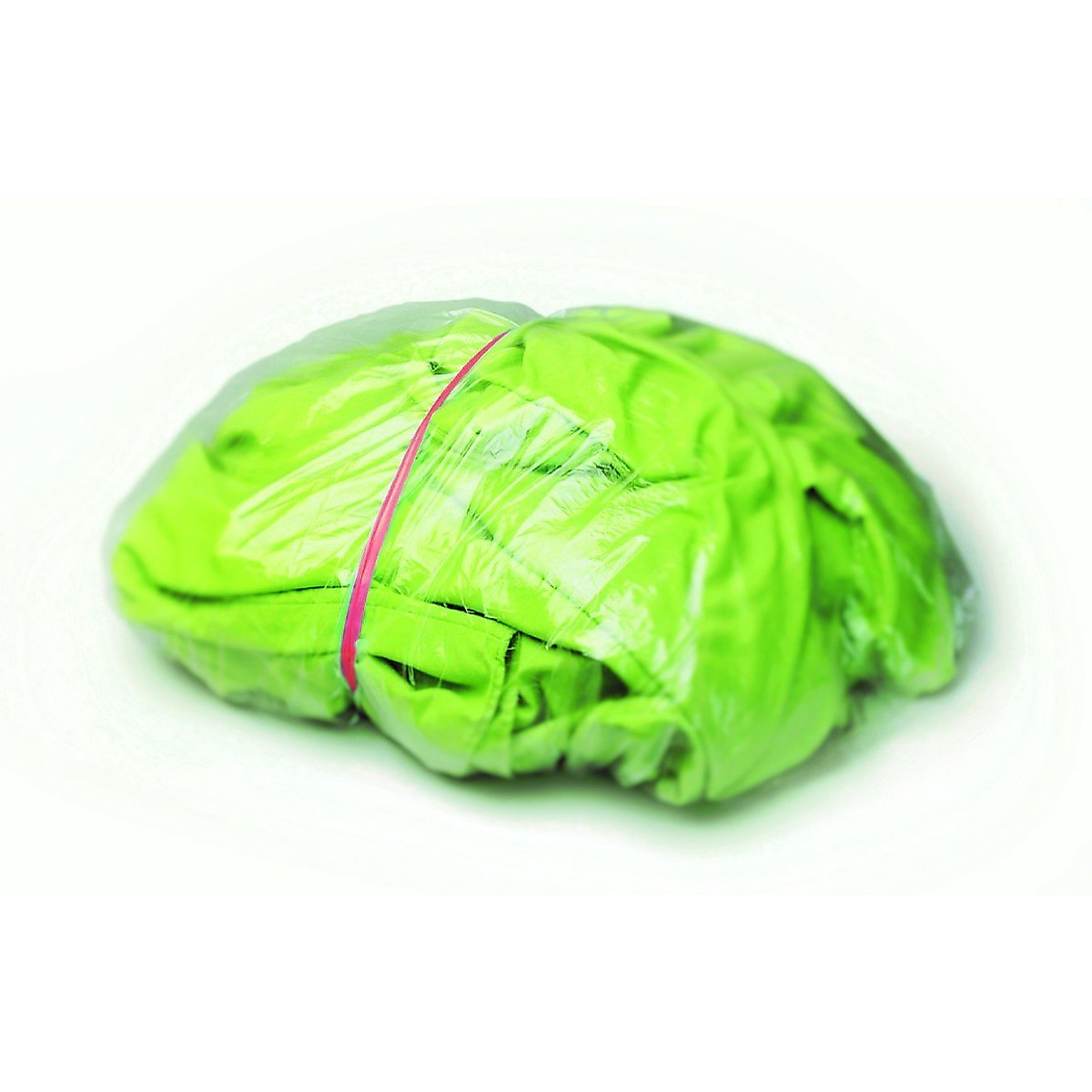 BEAPCO 10021-3 Bed Bug Protection (3 Pack), Green