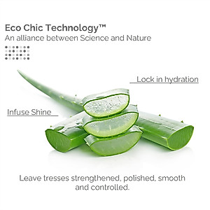 GIOVANNI Eco Chic Smooth As Silk Deeper Moisture Conditioner - Apple Plus Aloe Extracts, Calms Frizz, Detangles, Wash & Go, Lauryl & Laureth Sulfate Free, Paraben Free, Color Safe - 128 oz. (Gallon)