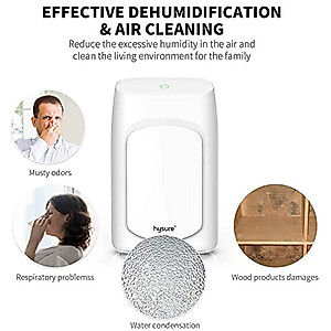 Hysure Electric Dehumidifier, Portable Deshumidificador with 2L(4.2 Pints) Water Tank, Small Dehumidifier for Bathroom, RV, Bedroom,Closet,Home