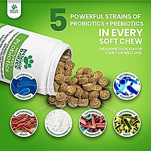 Doggie Dailies Probiotics for Dogs, Advanced Dog Probiotics with Prebiotics, Promotes Digestive Health, Supports Immune System and Overall Health (Duck)