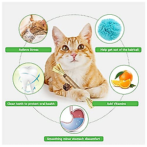 Aucenix Silvervine Sticks for Cats Lick - Silvervine Blend Sticks for Kittens Chewing,Natural Silvervine Cat Chew Sticks for Teeth Cleaning and Stress Release