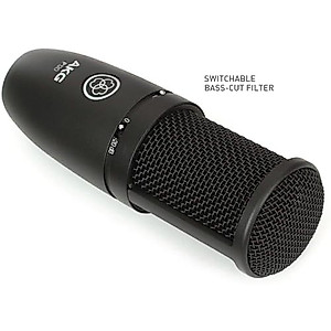 AKG Pro Audio P120 - Affordable 2/3-Inch Diaphragm Condenser Microphone for Clear Vocals & Instruments. Studio Recording or Live. XLR Connector. Black