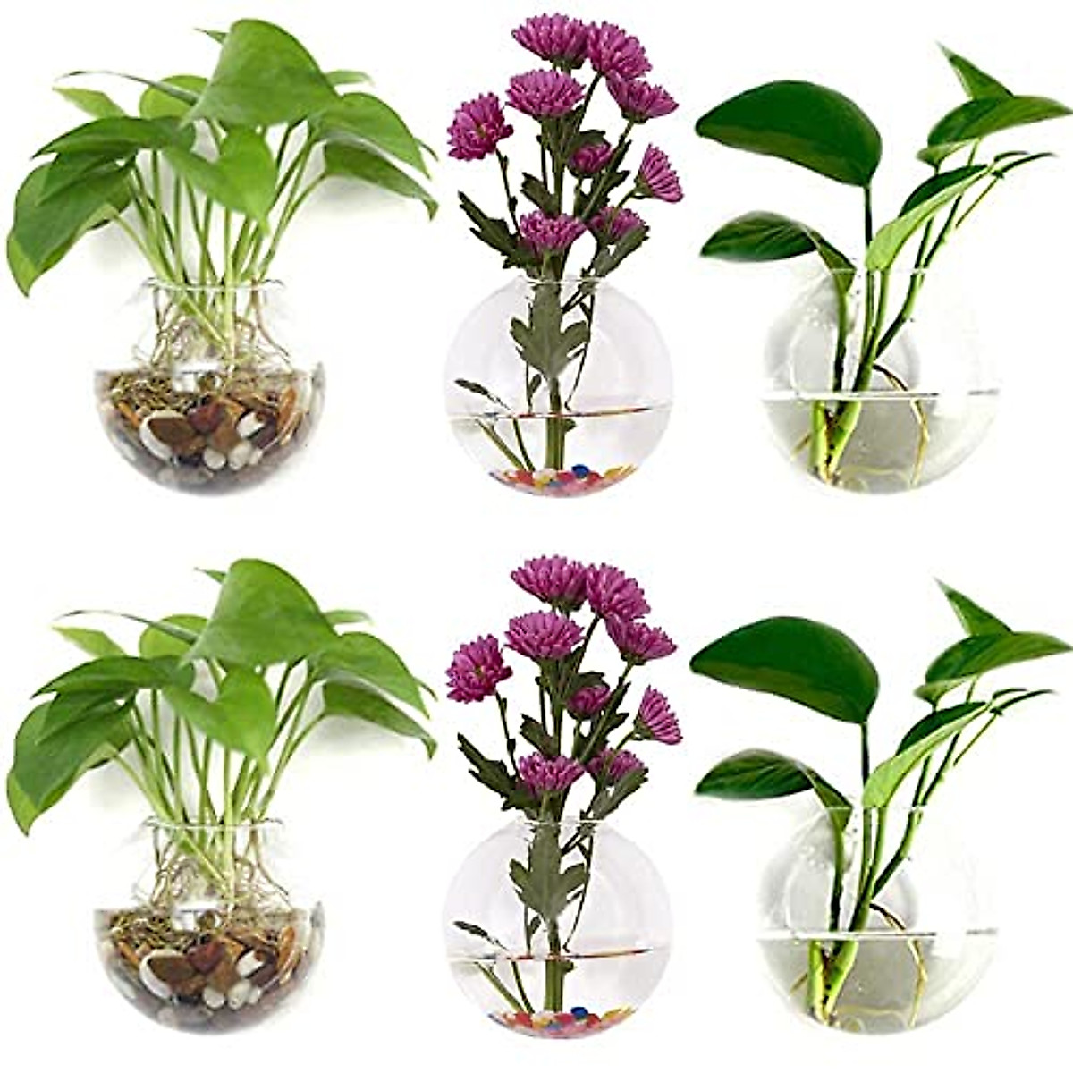 DZHJKIO Pack of 6 Glass Planters Wall Hanging Planters Round Glass Plant Pots Hanging Air Plant Pots Flower Vase Air Plant Terrariums Wall Hanging Plant Container, 12 cm Diameter