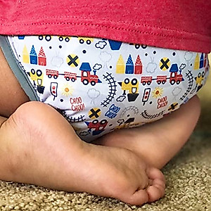 Best Bottom Bigger All in Two Diaper Cover | Adjustable Snap Cloth Diapers for Babies | Eco Friendly Reusable Diapers with Waterproof Gussets | Newborns Thru Toddlers 10-45+ Lbs. (Prickly Cactus)