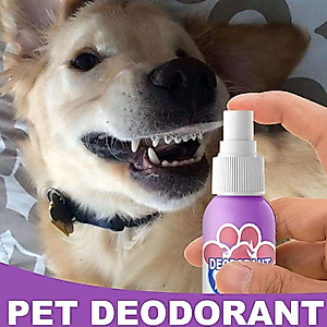 Petry Oral Spray, Petry Teeth Cleaning Spray for Dogs & Cats, Pet Breath Freshener Spray Care Cleaner 60ml, Pet Oral Spray Clean Teeth, Dog and Cat Natural Breath Freshener