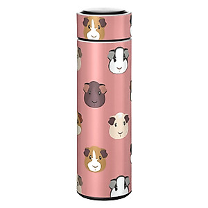 Glaphy Cartoon Guinea Pig Pink Water Bottle, BPA-Free, Stainless Steel, 17 oz Insulated Water Bottles Kids, for School, Office, Gym, Sports, Travel, 500ml