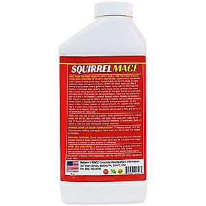 Nature's MACE Squirrel Repellent 40oz Concentrate/Covers 28,000 Sq Ft/Keep Squirrels & Chipmunks from Destroying Trees, Planters and Bird Feeders/Safe to use Around Children & Plants