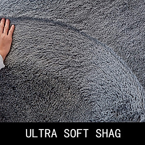 EasyJoy Super Soft Rugs for Living Room, Area Rugs for Bedroom 4x4 Dark Grey Fluffy Room Rug, Large Shag Throw Rug for Nursery Kids Room, Cute Mordern Fuzzy Rug for Playroom
