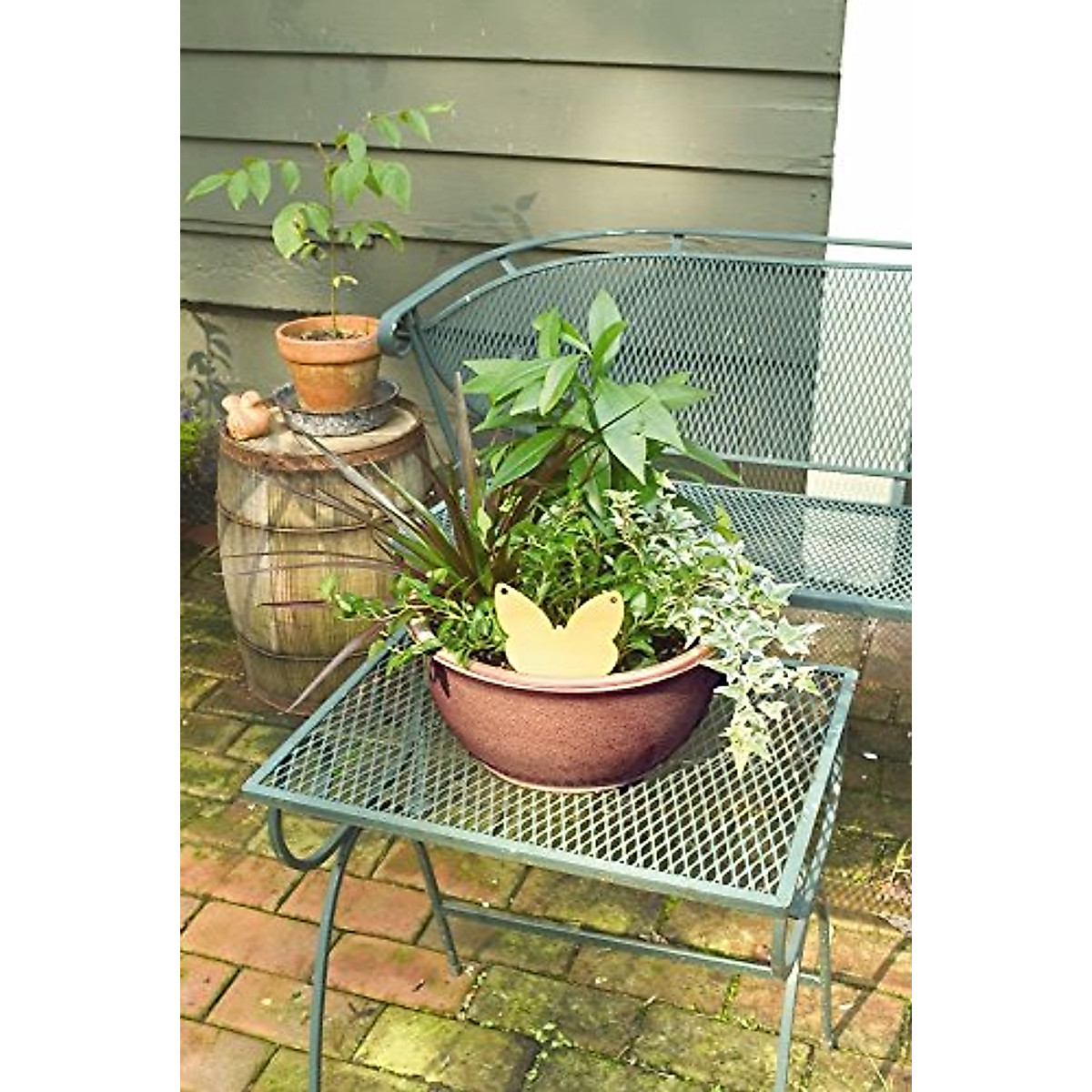 Gardens Alive! Pot Stickers for Small Flying Insects (Pkg of 10)