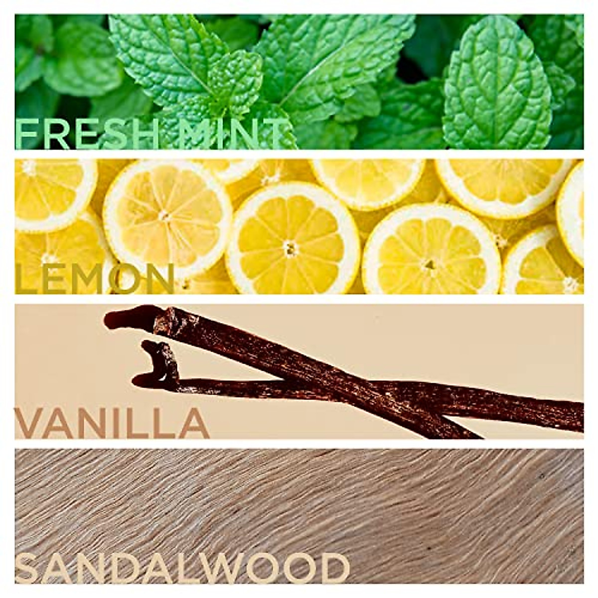 English Laundry Oxford Bleu 3 Piece Fragrance Gift Set