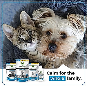 VETRISCIENCE Composure Clinically Proven Calming Chews, Chicken, Six 15-Chew Packs