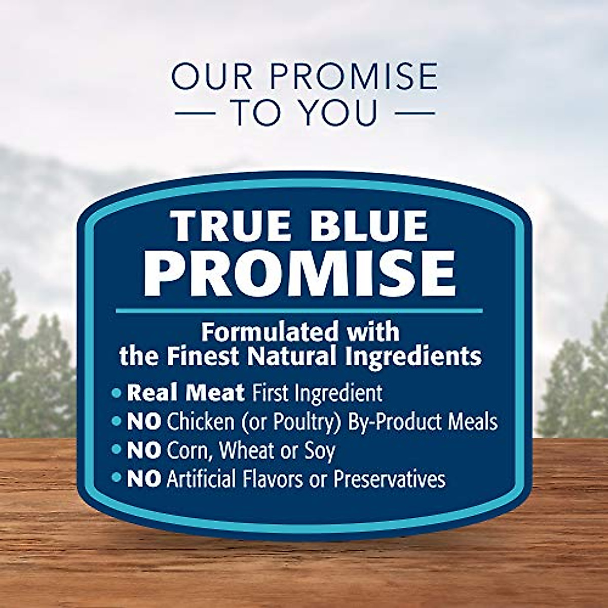 Blue Buffalo Wilderness High Protein Grain Free, Natural Kitten Pate Wet Cat Food Variety Pack, Chicken, Salmon 3-oz (6 Count- 3 of Each Flavor)