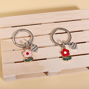 Miss Pink Teacher Application Gifts Bulk Teacher Keychain Gift for Women, Teacher Christmas Valentine's Day Birthday Gifts in Bulk Best Teacher Thank You Keychains Gifts for Daycare Teacher (YPRW)