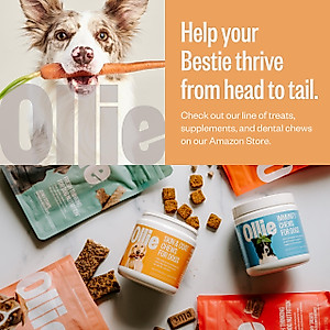 Ollie Crunchy Treats Variety Pack - Apple Berry & Sweet Potato Recipe - Crunchy Dog Treats All Natural - Healthy Dog Treats - 100% Human Grade - Baked in USA Kitchens 16 Oz.