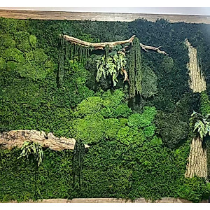 prefleur Preserved Sheet Moss Natural Green Decorative Real Natural Green DIY Kit Gardenning Art Wall Decor Florist Decor Easter Table Decor Wedding(2 sq.ft.) (Green-B)