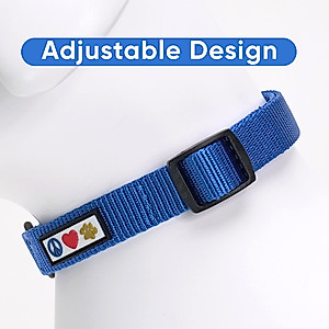Pawtitas Dog Collar for Extra Small Dogs Adjustable Dog Collar Heavy Duty Waterproof Collars for Dogs with Quick-release Buckle - Blue Dog Collar for Extra Small Breeds