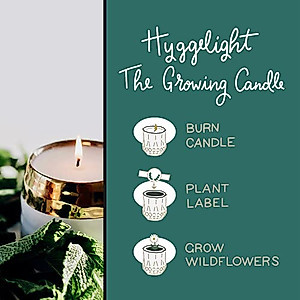 Hyggelight | The Growing Candle. Tired of Tossing Empty Candles? Try Our Less-Waste Solution. 10 oz, 55 hr Burn Time, 100% Soy Wax, Cotton Wick, Handmade Reusable Pot. (Sandalwood + Vanilla, Clara)