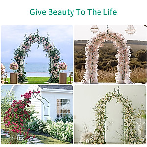SCENDOR Garden Arch Trellis 8.4 Ft High x 4.6 Ft Wide, Dark Green Iron Arbor, Courtyard Arbor Trellis for Various Climbing Plants Rose, Outdoor Archway Wedding Ceremony Party