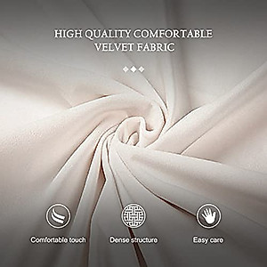 Qtivii Velvet Dining Chairs Set of 6, Tufted Dining Room Chairs with Button Back, Nailhead Trim, Upholstered Dining Chairs for Kitchen, Bedroom, Restaurant (Beige)