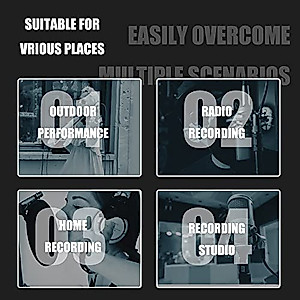 Micfuns F2 Professional Microphone Windscreens Pop Filter, Acoustic Filter for 45mm-60mm Recording Studios Microphones, Sound-Absorbing Foam that Reduces Noise and Reflections