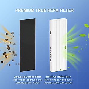 Ganteny True HEPA Filter Replacement Compatible with Fellowes AeraMax 100 90 DX5 DB5 Air Cleaner Purifier, Compared to Part 40101701 9287001 9324001, 3 x True HEPA Filter and 6 x Carbon Pre-Filter