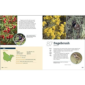 100 Plants to Feed the Birds: Turn Your Home Garden into a Healthy Bird Habitat