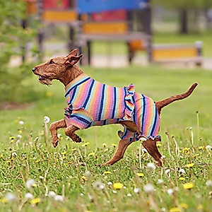 Dog Pajamas Striped Onesie, Cute Soft Pet Jumpsuit, Breathable Dog Bodysuit with Skirt, Puppy Pullover Shirt for Indoor Outdoor Use, Stretchable Outfit Sleeping Clothes for Dog Hair Shedding Cover