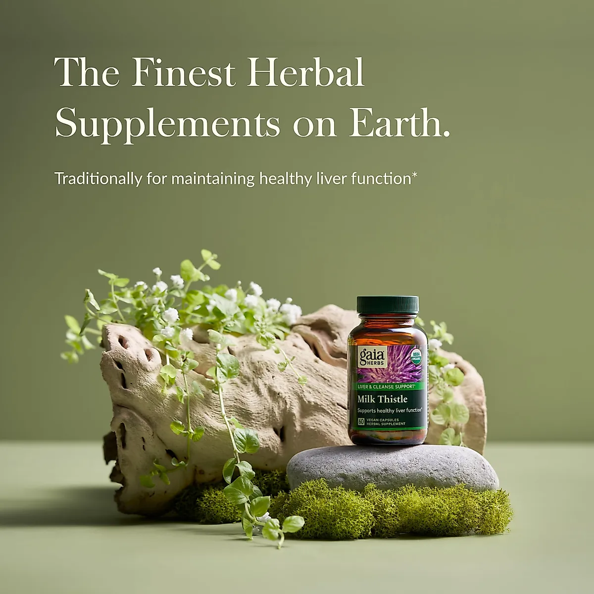 Gaia Herbs Milk Thistle - Liver Supplement & Cleanse Support for Maintaining Healthy Liver Function* - 60 Vegan Capsules (20-Day Supply)