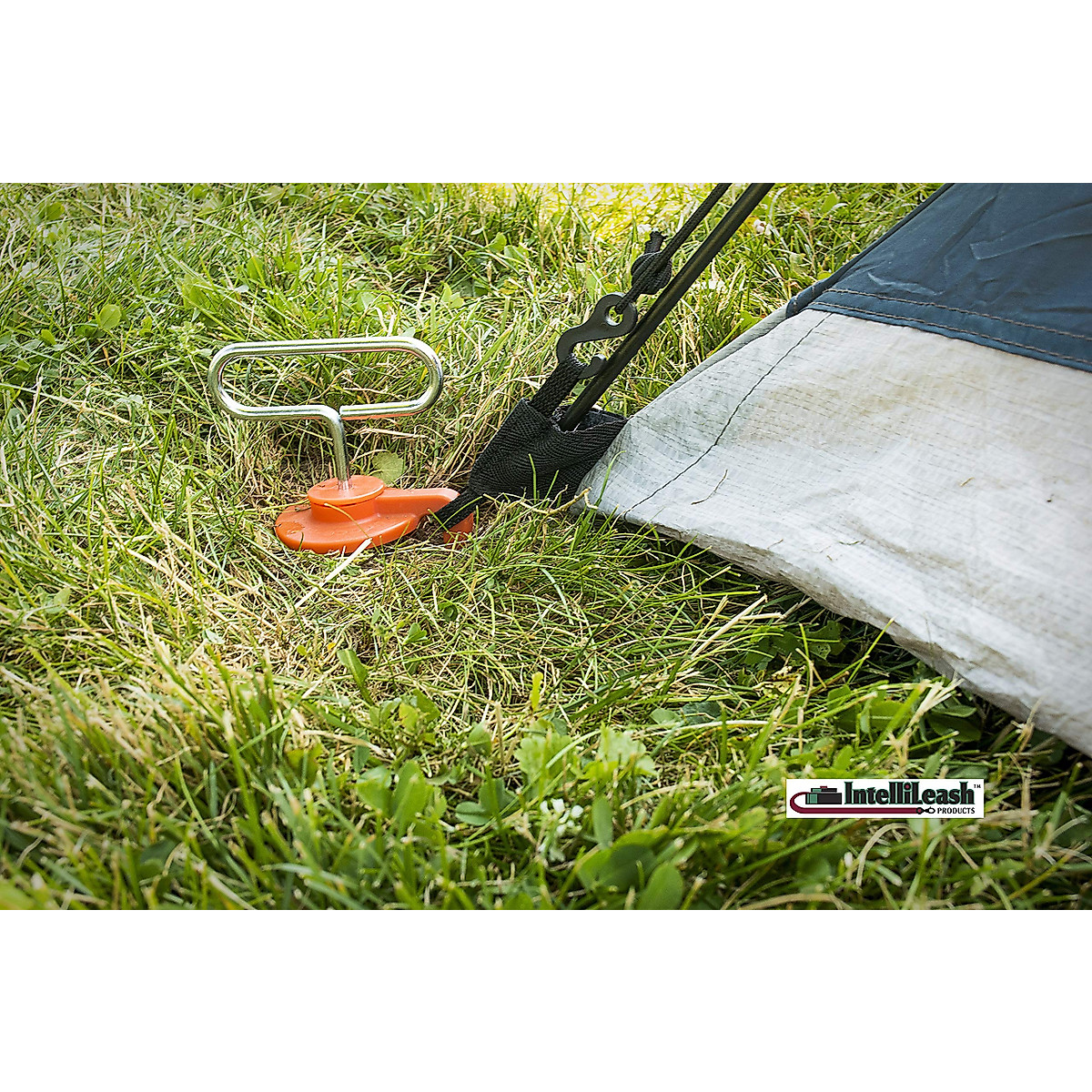 IntelliLeash EZ-Tent-Stayk (4 Pack): Secure Stakes for Tents, Canopies, & More - No Hammer Needed!