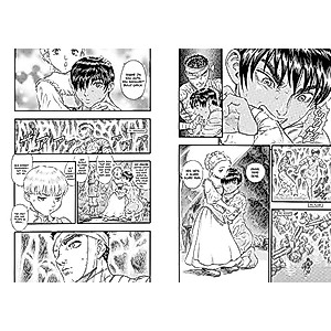 Berserk Deluxe Volume 5