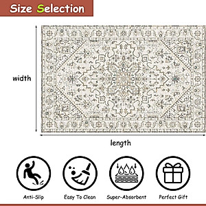 HAJDCUTC Area Rug 2'x3' Small Area Rugs Boho Machine Washable Rugs Non Slip for Entryway Kitchen Bathroom Bedroom Vintage Soft Low-Pile, White