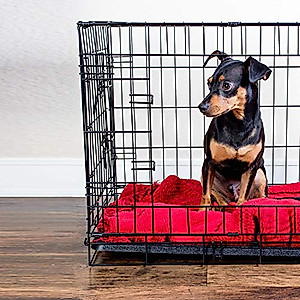 Paws & Pals Replacement Tray for Dog Crates and Kennels - Plastic Bottom Pan Liner Fits 24" Inch Crate