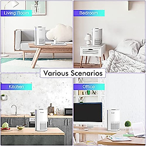 ECOWELL HEPA Air Purifier for Home Bedroom, Remove 99.97% Dust Pollen Odors Pet Dander, Large Room Air Purifiers for Office Desk Kitchen Living Room, EAP250W, White, 8.6 x 8.6 x 14.17 inch