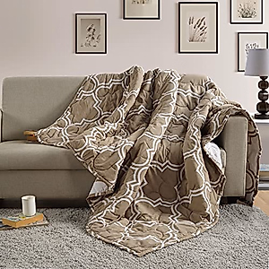 LANE LINEN Lightweight Microfiber Comforter Blanket for Bed - Twin Size Blanket – All-Season Reversible Soft Cozy Warm Anti-Static Anti-Wrinkle Premium Throw Blanket, 90”x68” – Trellis Taupe